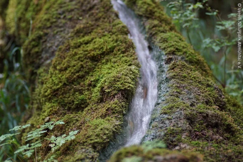 Steinerne Rinnen - Naturpark Altmühltal (Südliche Frankenalb) e.V